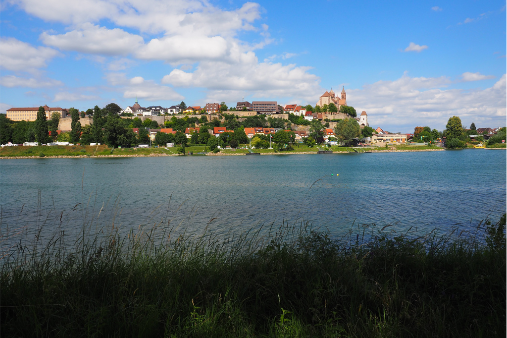 Un espace naturel de qualité Le Rhin, entre France et Allemagne ...